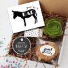 27 Fun Congratulatory New Job Gift Ideas For Loved Ones